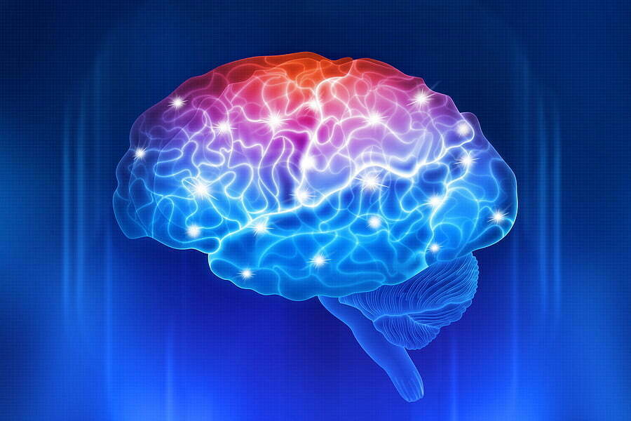 MRI Testing Shows How Steroids Affect The Brain